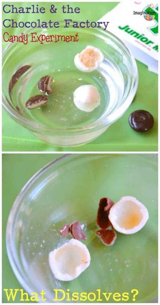 Charlie and the Chocolate Factory Candy Experiments