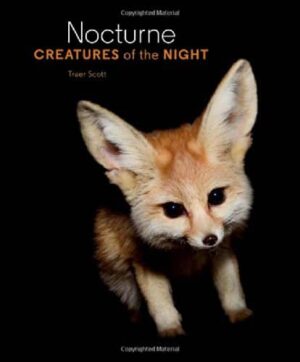 20 Best Books About Nocturnal Animals - Imagination Soup