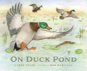 Beautiful Bird Books for Kids (To Spark an Interest in Nature)