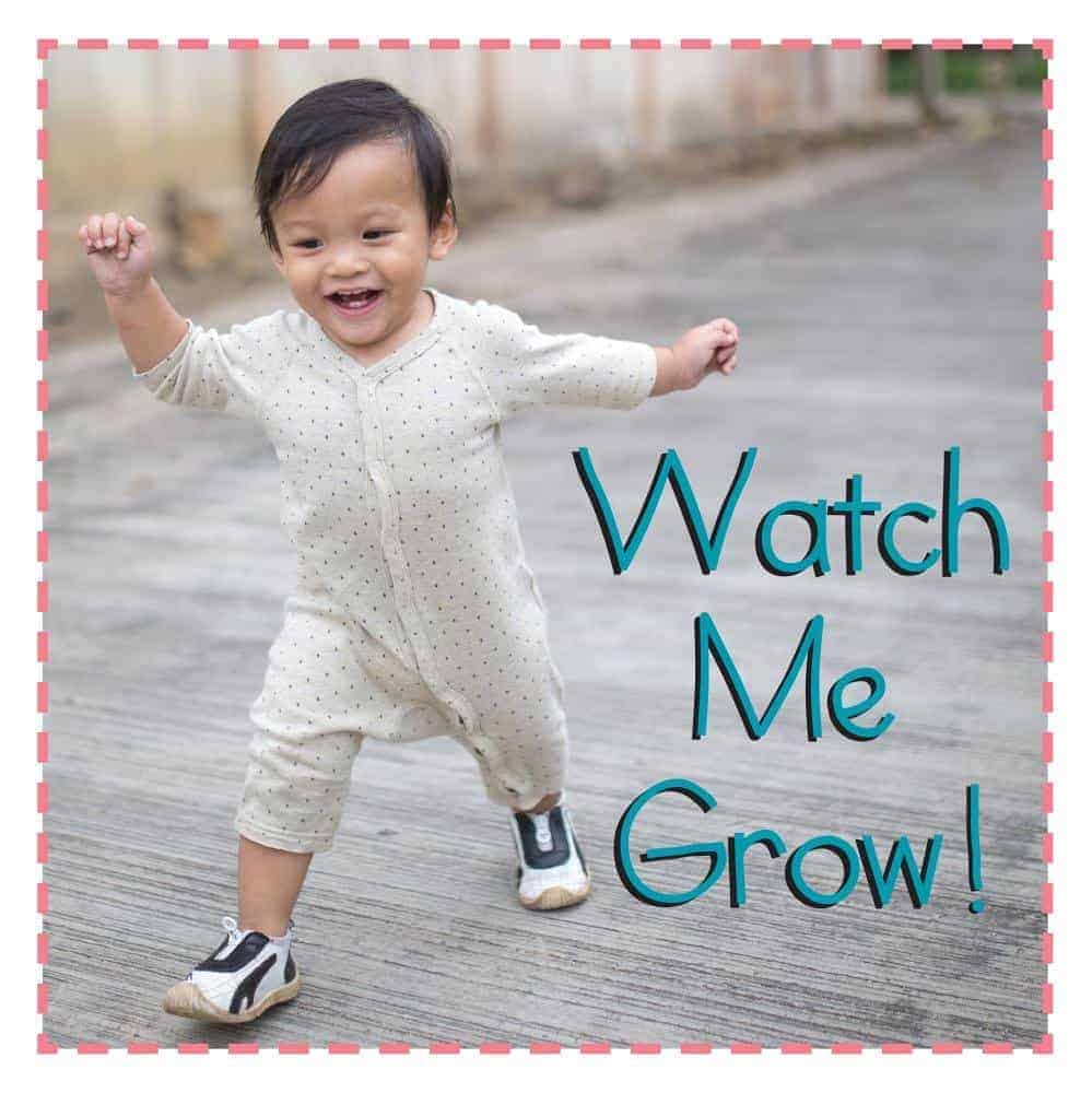 Diverse Board Books for Toddlers - Imagination Soup