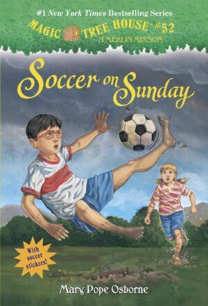 Soccer Books for Kids (Football Books Worldwide) - Imagination Soup