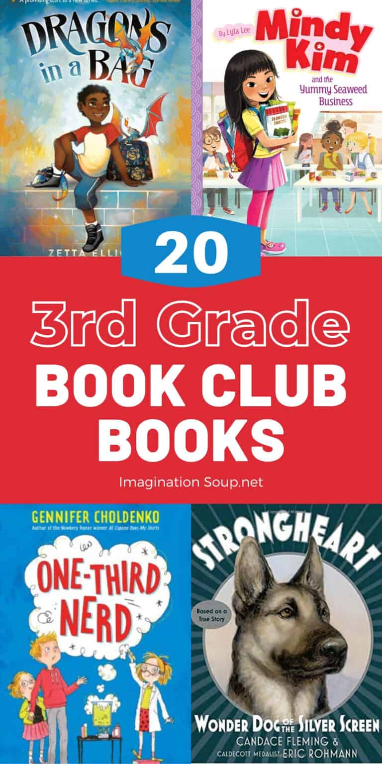Book Club Book Ideas for 3rd Grade - Imagination Soup