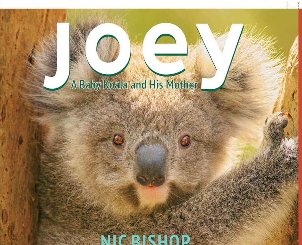 60 Nonfiction Books for Kindergarten and 1st Grade, 5- and 6-Year- Olds ...