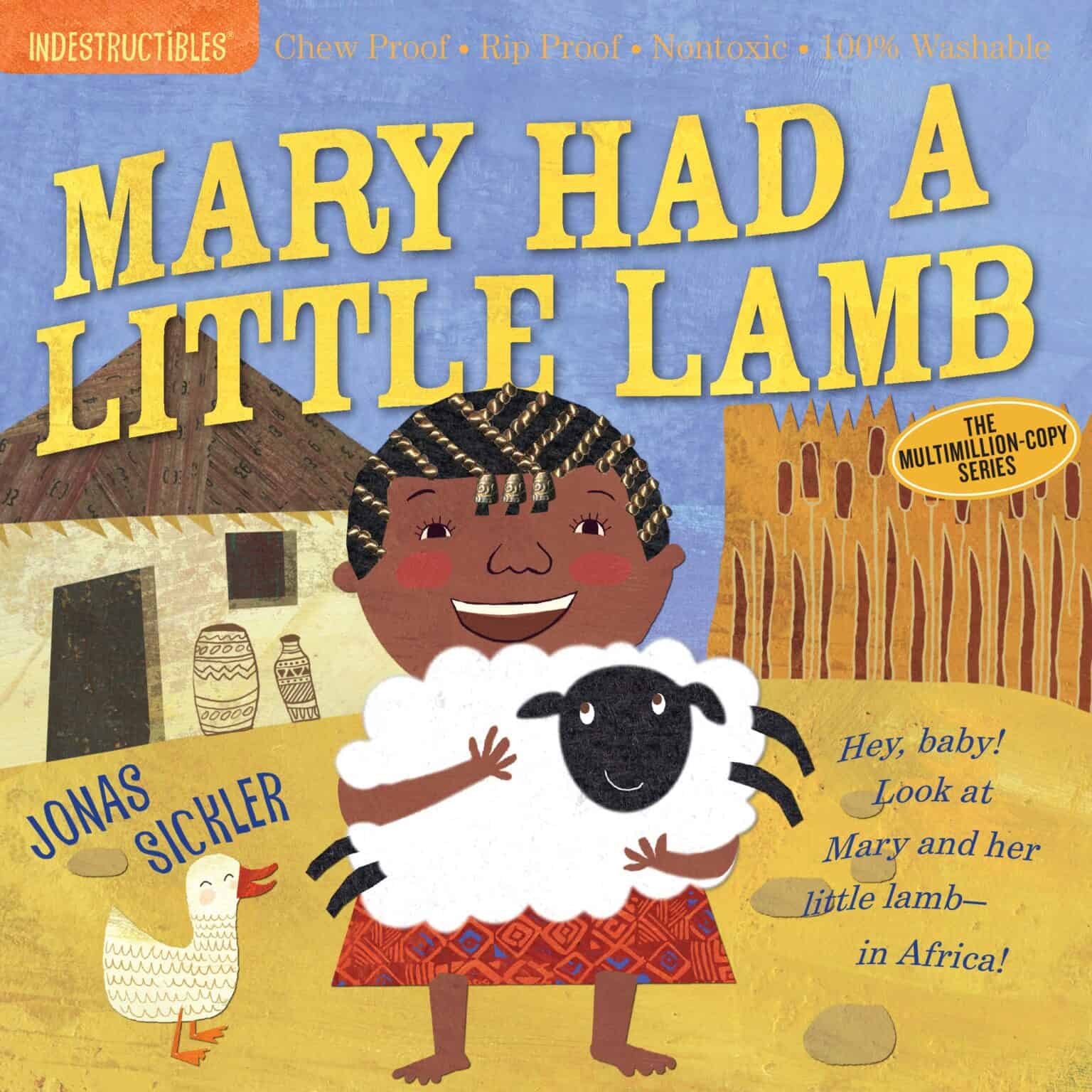 Amazing Indestructible Books: Chew-Proof, Rip-Proof Baby Books