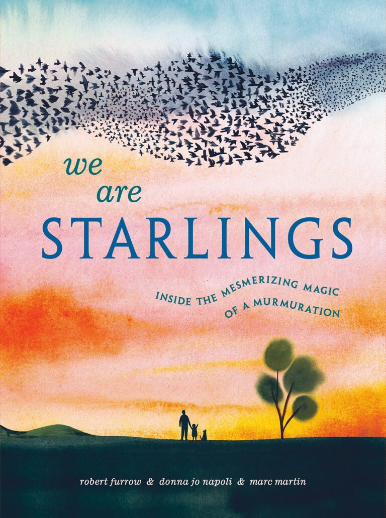 Beautiful Bird Books for Kids (To Spark an Interest in Nature)