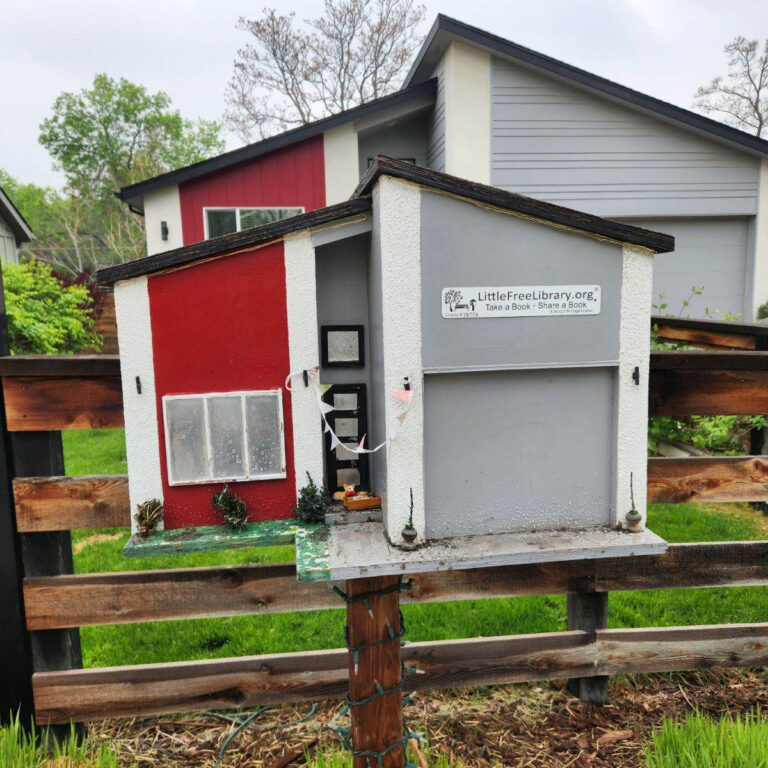 Get the Scoop on the Little Free Library - Imagination Soup