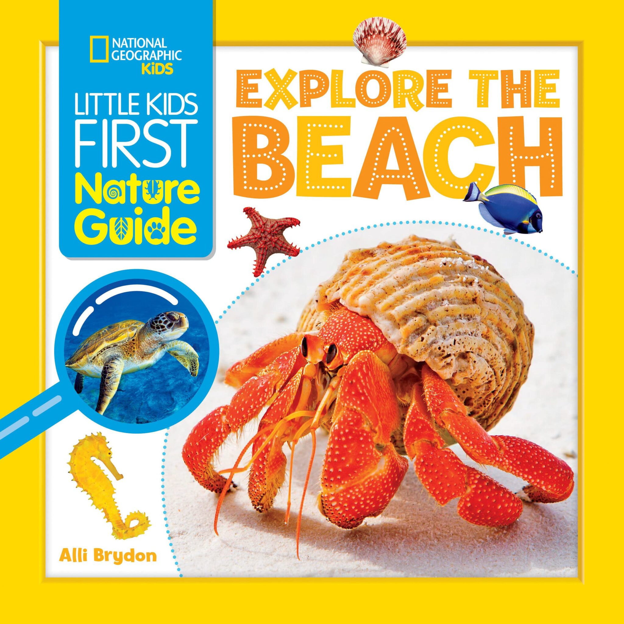 48 Excellent Children's Books About Ocean Animals - Imagination Soup