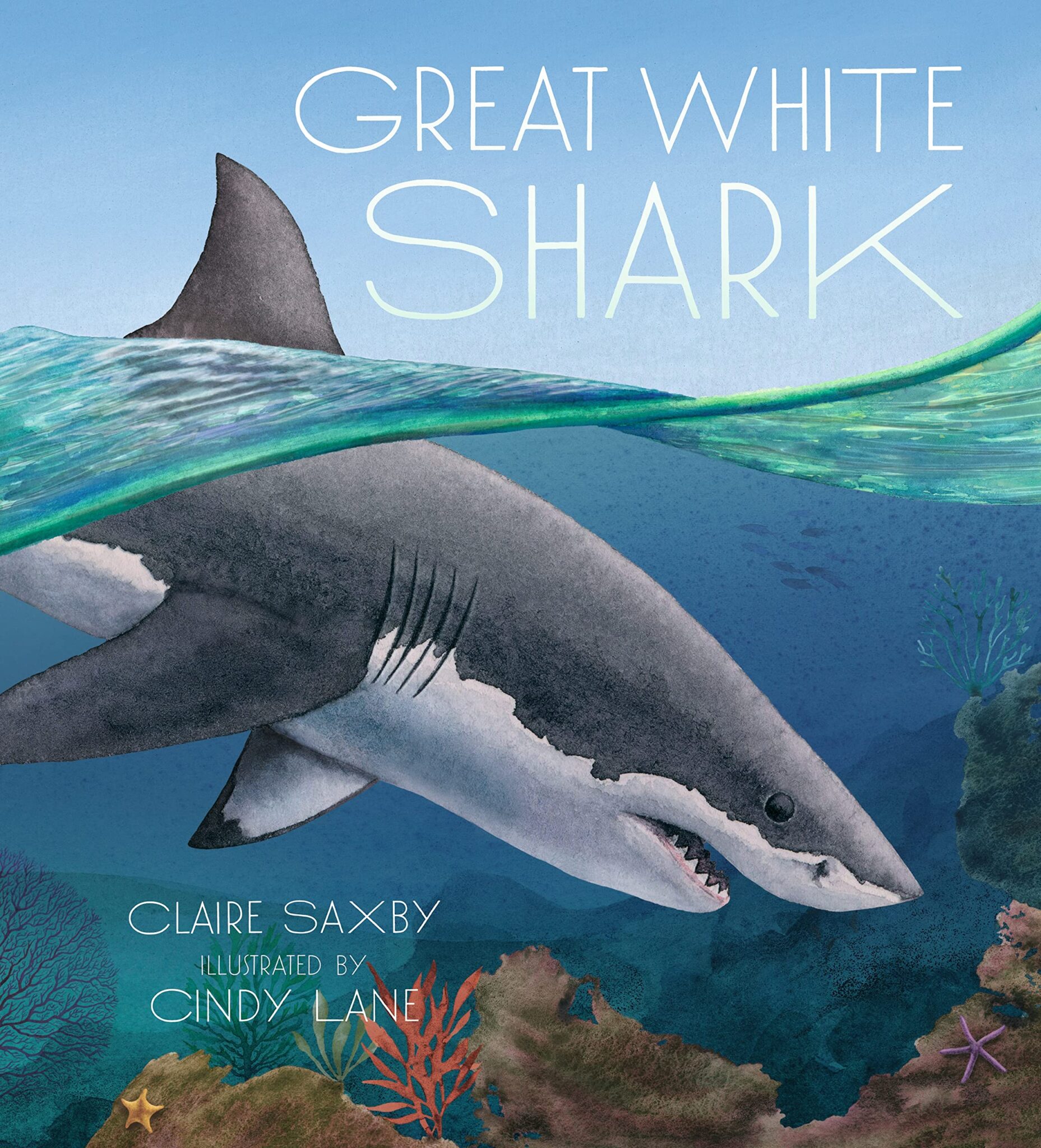 Super Shark Books for Kids - Imagination Soup