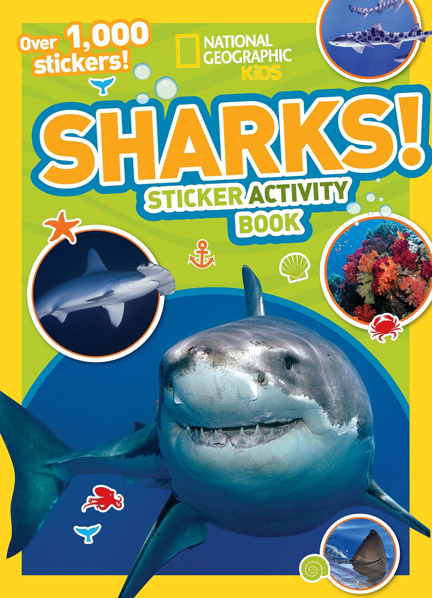 Super Shark Books for Kids - Imagination Soup