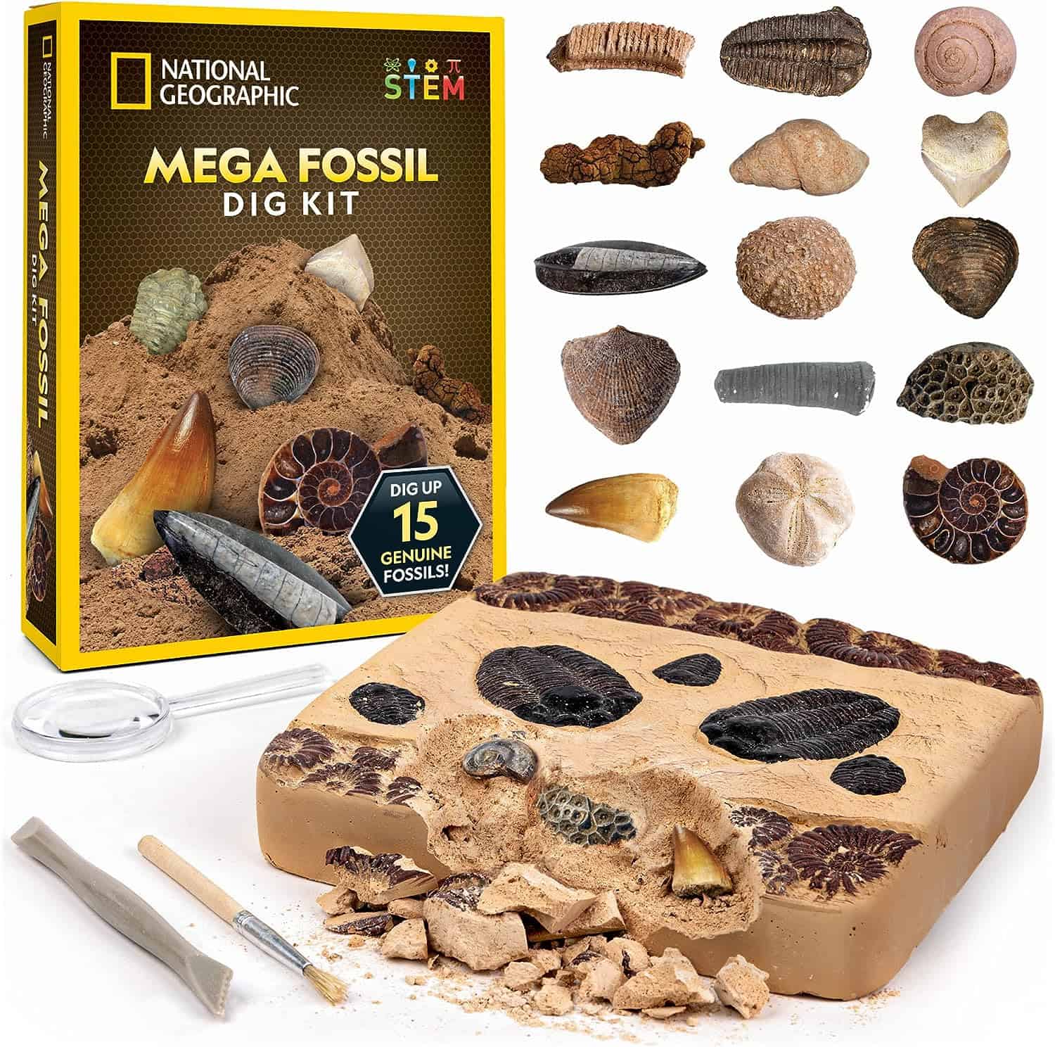 18 Best Science Kits for Kids - Imagination Soup