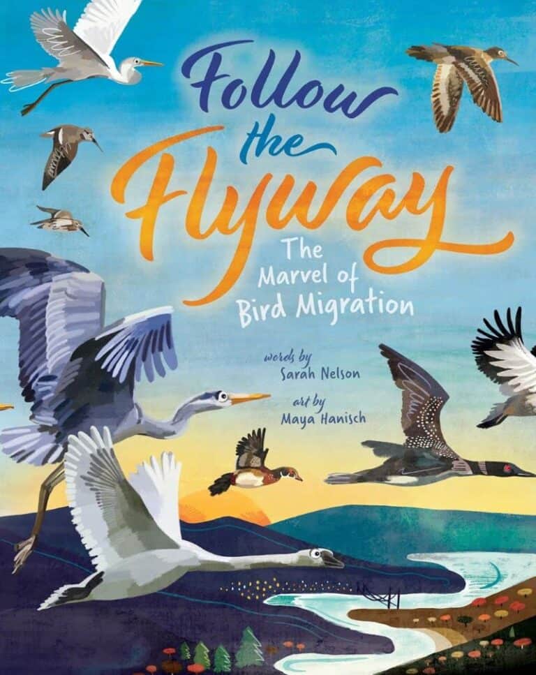 Beautiful Bird Books for Kids (To Spark an Interest in Nature)