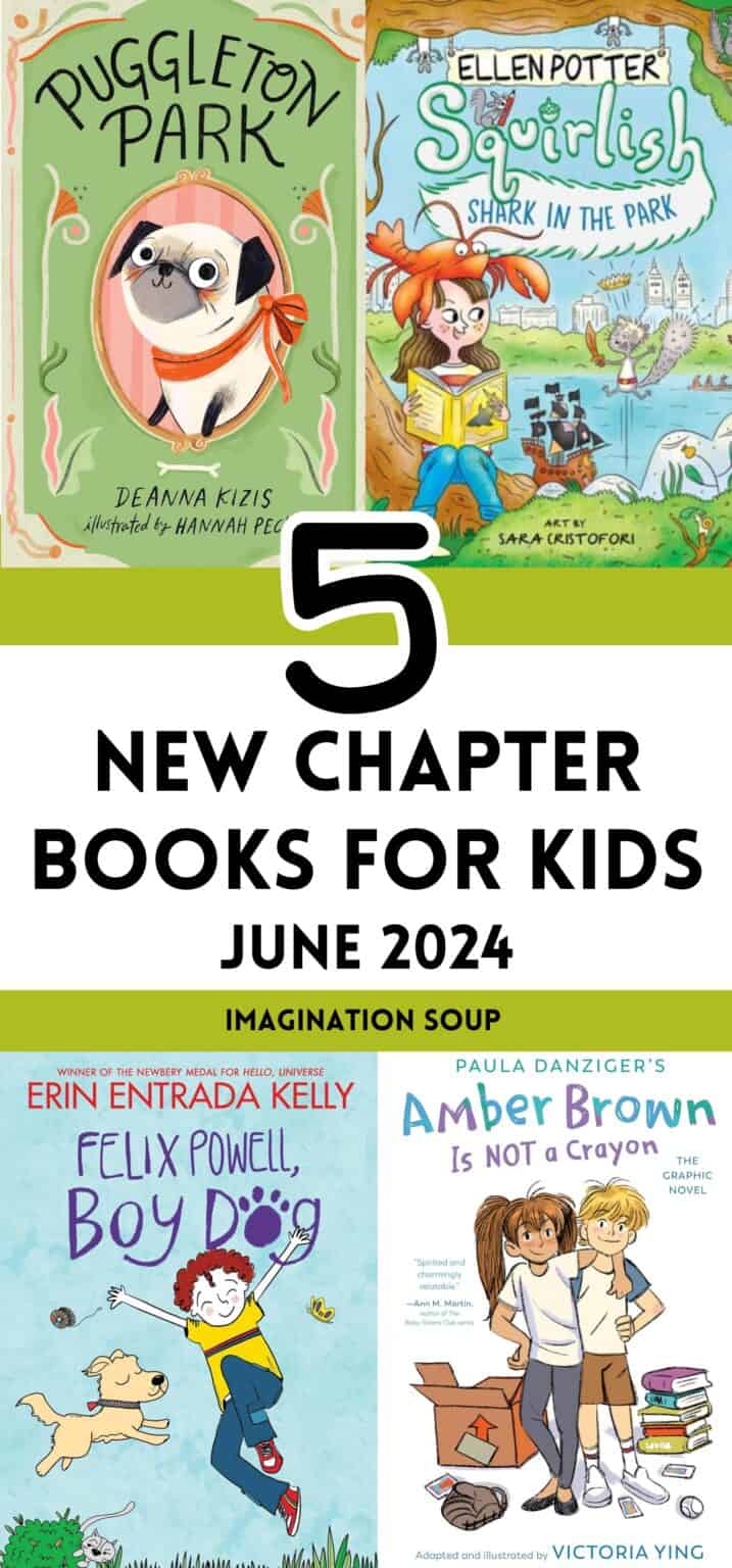 5 New Chapter Books, June 2024 - Imagination Soup