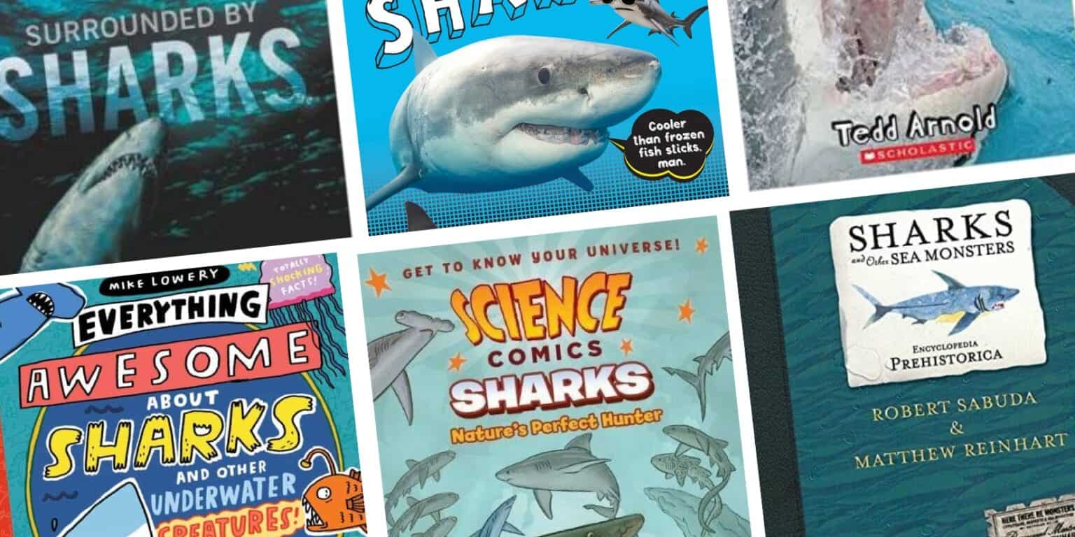 Super Shark Books for Kids - Imagination Soup