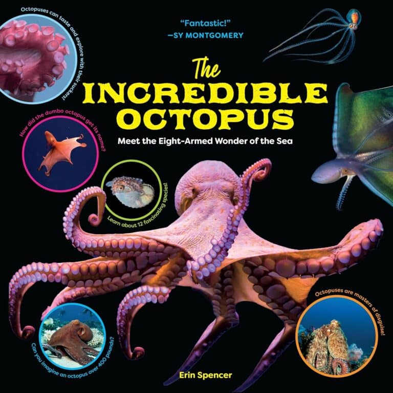 New Nonfiction Books for Kids, August 2024 - Imagination Soup
