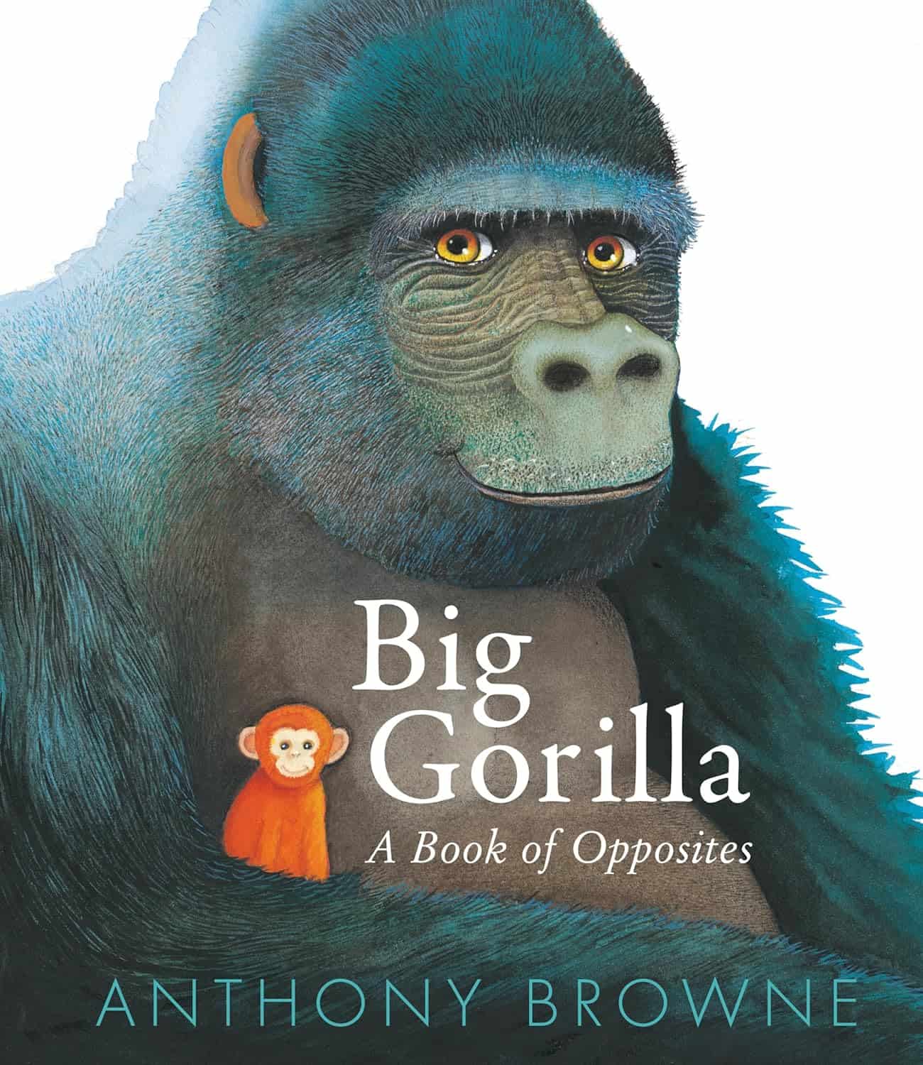 15 Fantastic Books About Opposites - Imagination Soup