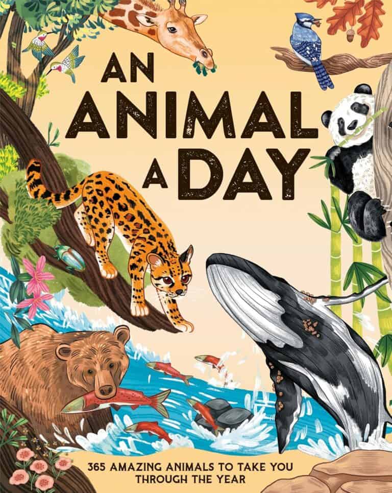 18 New Nonfiction Books, December 2024 - Imagination Soup
