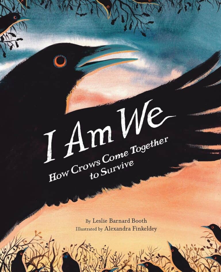 Best Nonfiction Children's Books of 2025 - Imagination Soup